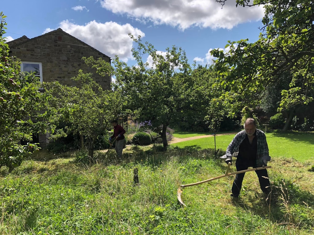 The Wildflower Meadow and Beeline Pollinators | Gallery | Reeth ...