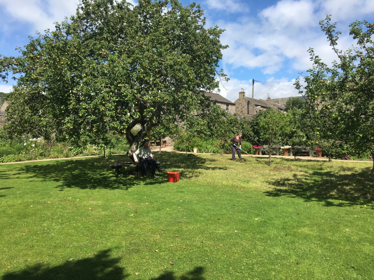 The Wildflower Meadow and Beeline Pollinators | Gallery | Reeth ...