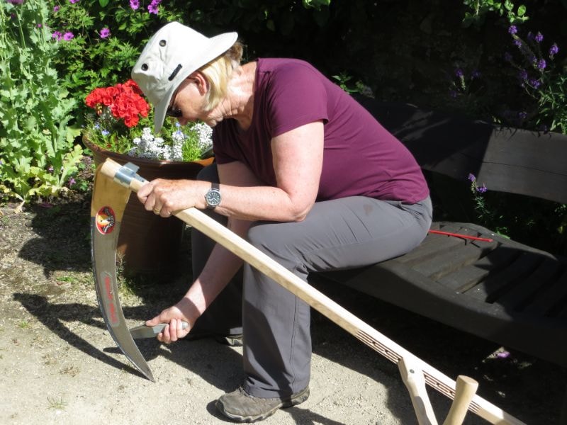 The Wildflower Meadow and Beeline Pollinators | Gallery | Reeth ...